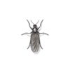 Gnat Fly Identification, Habits & Behavior | Florida Pest Control