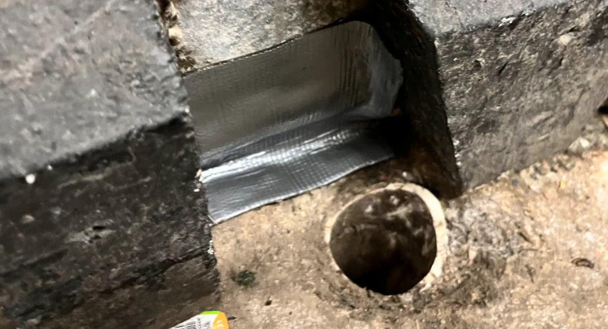 Rodent & Wildlife Exclusion | Florida Pest Control